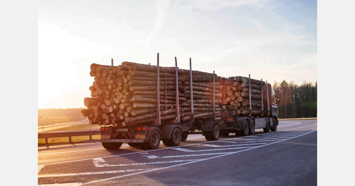 UK Timber import volumes in 2023 continued to improve as the year ...