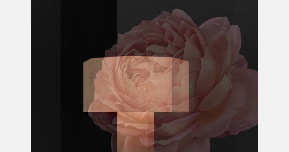 'Lamps as slender and delicate as flowers'