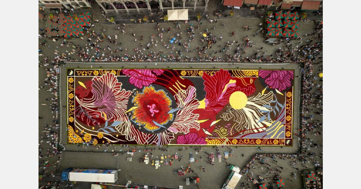 World's largest flower carpet stuns crowds
