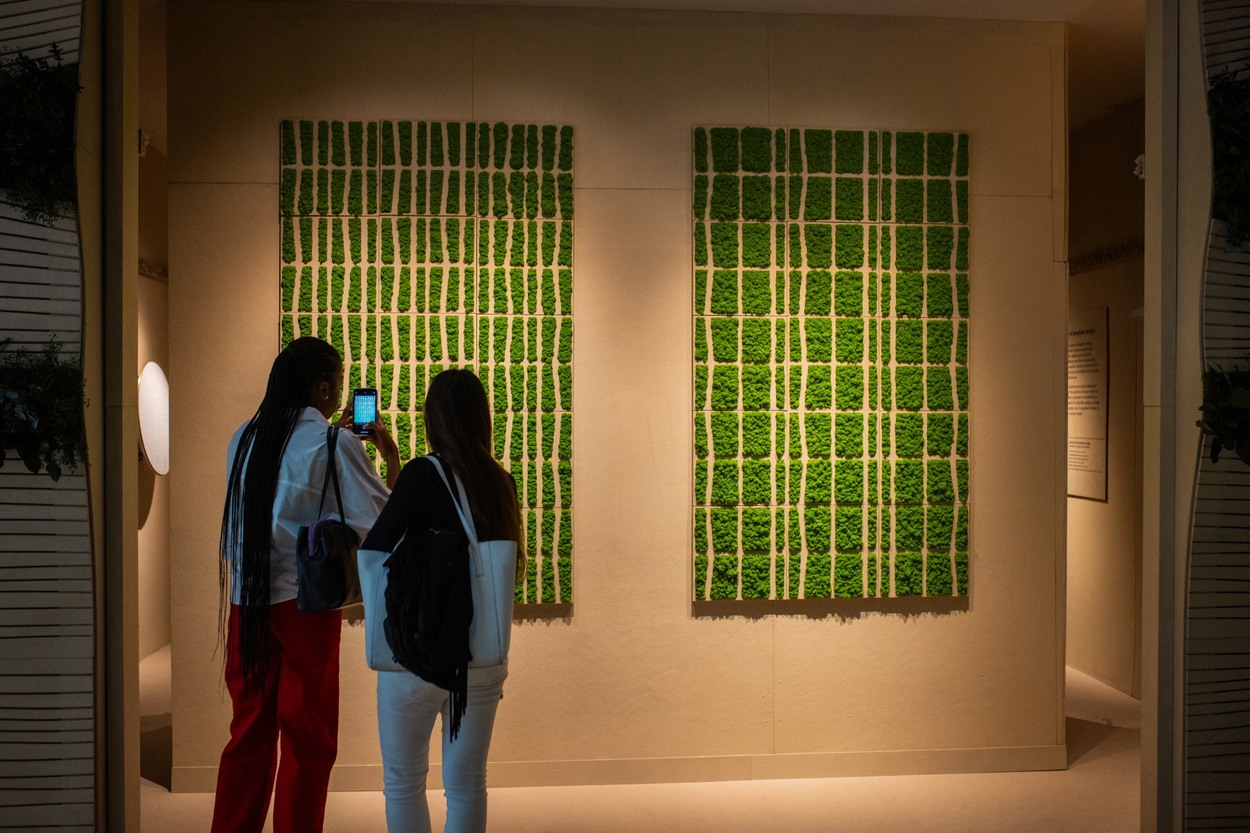 Rafa Ortega unveils innovative Biophilic Tile Collection