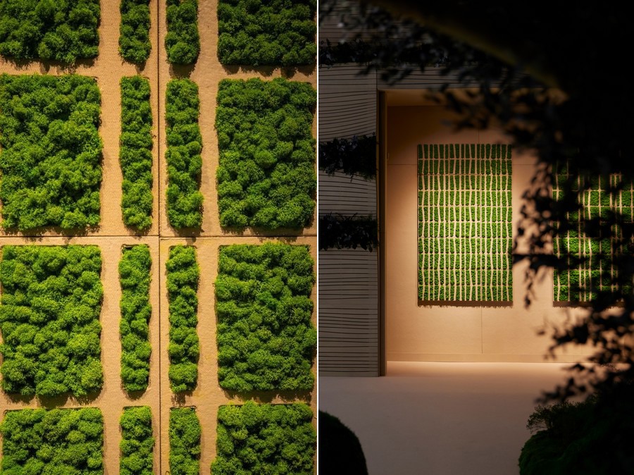 Rafa Ortega unveils innovative Biophilic Tile Collection