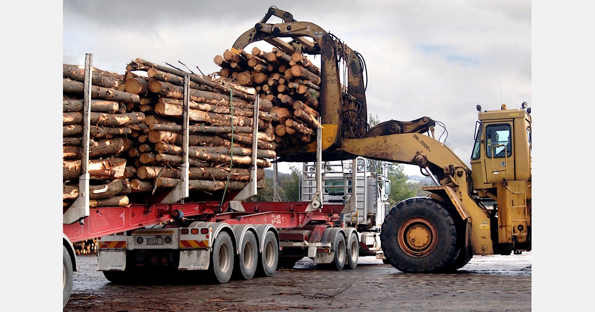 Timber harvesting maintains high levels in Denmark