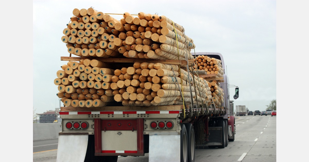 Russian timber reaches Poland despite sanctions