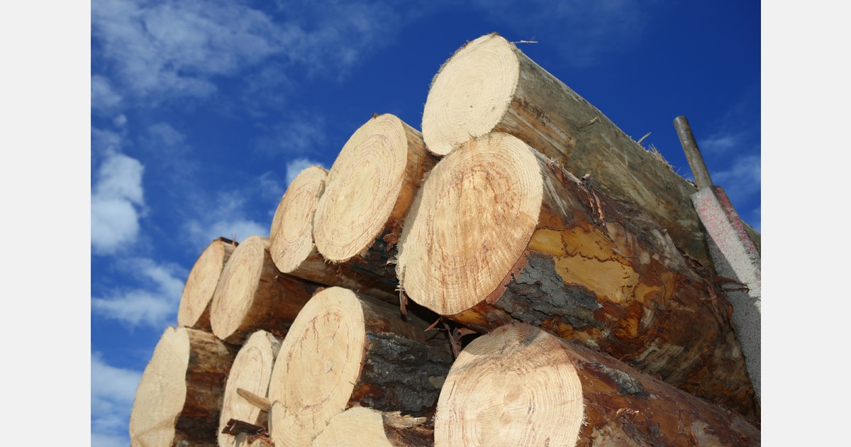 Timber tensions reflect mixed signals in Austria’s wood market