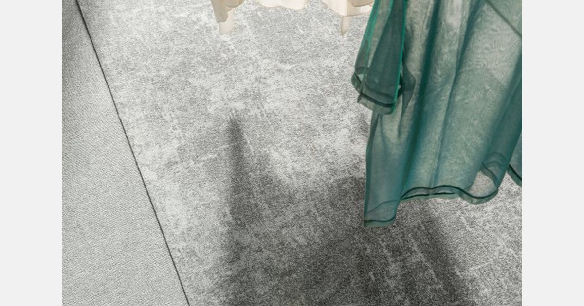 Belysse sees revenue decline in the first quarter but increases ...